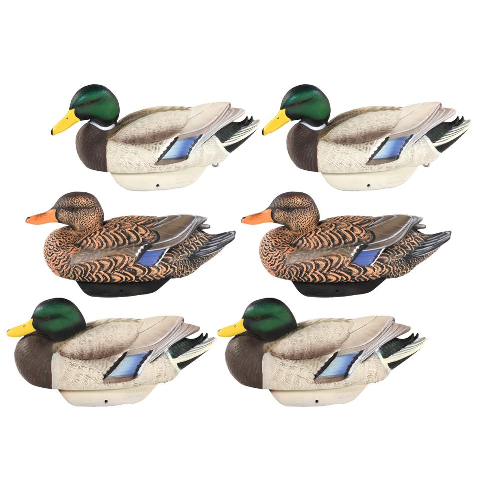 HydroFoam Mallard 6 Pack | Guidefitter