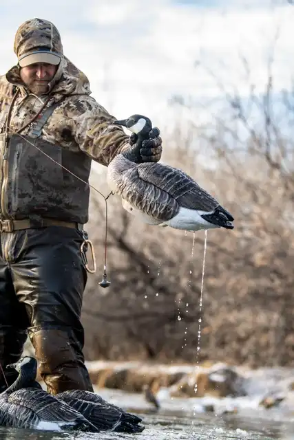 HydroFoam Canada Goose Floater 4 Pack | Guidefitter